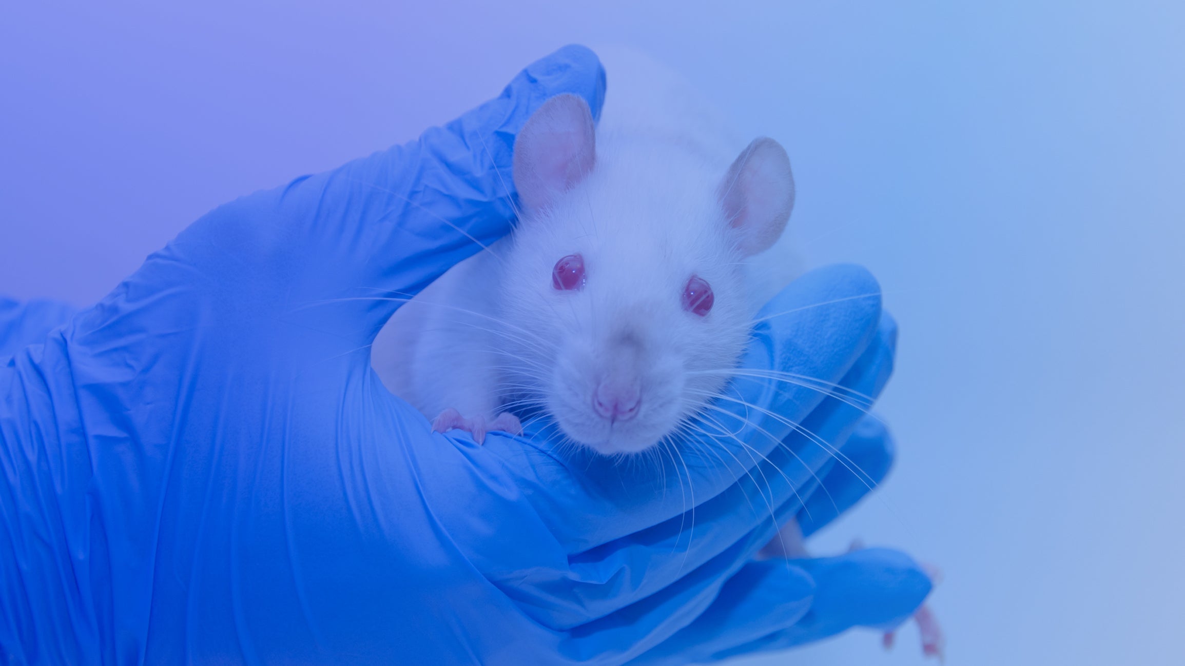 Exploring the Impact of Diet: New High-Fat Fed Rat Organs & Biofluids ...