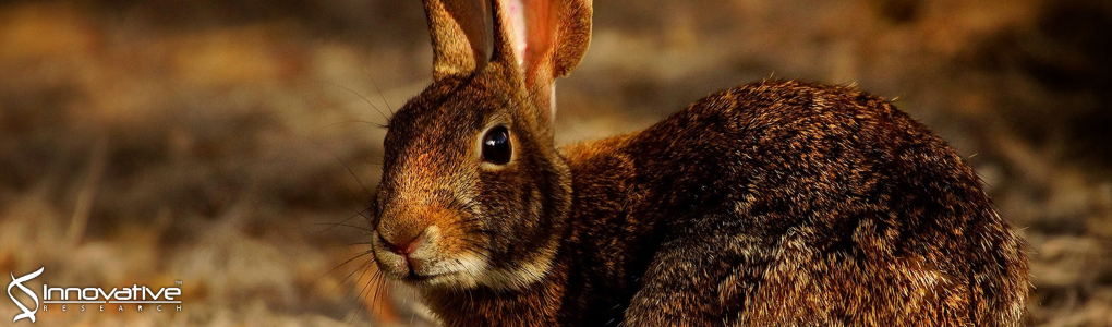 Development of Rabbit Monoclonal Antibodies for Quantitation of Therap ...