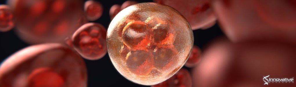 A Novel Method of High-Purity Extracellular Vesicle Enrichment from Mi ...