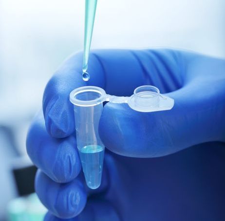 Unlock Your Research Potential with Our Premier E. Coli Competent Cell ...