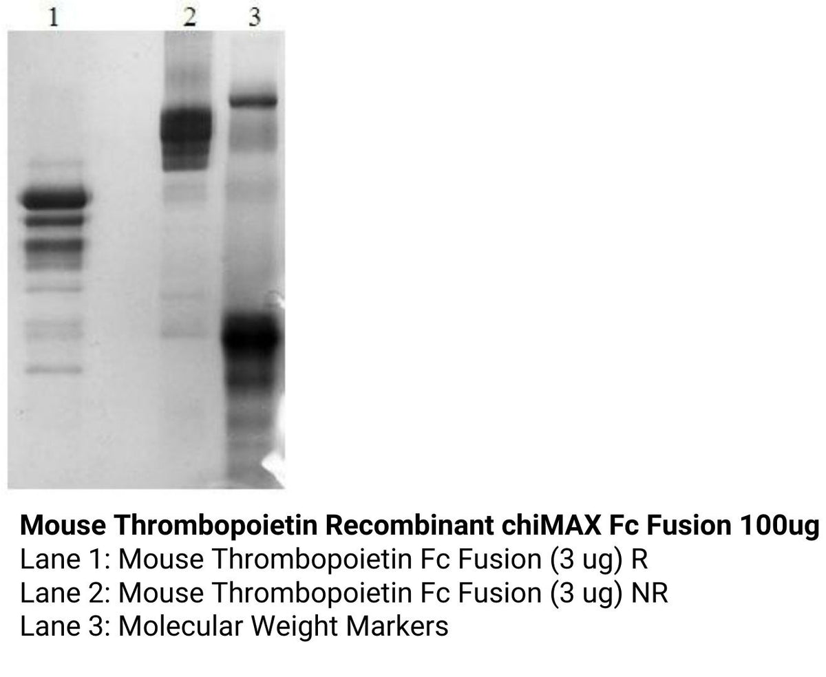*Mouse Thrombopoietin Recombinant chiMAX Fc Fusion – Innovative Research